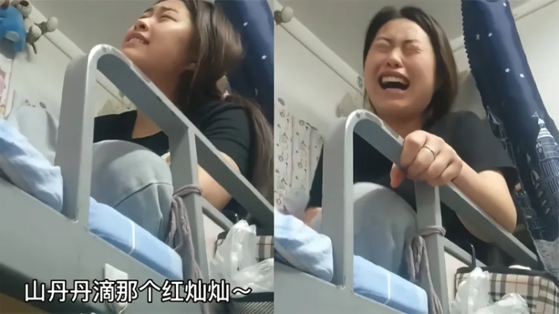 女孩毕业论文查重率太高,修改1晚后结果让她崩溃:血压都升高了