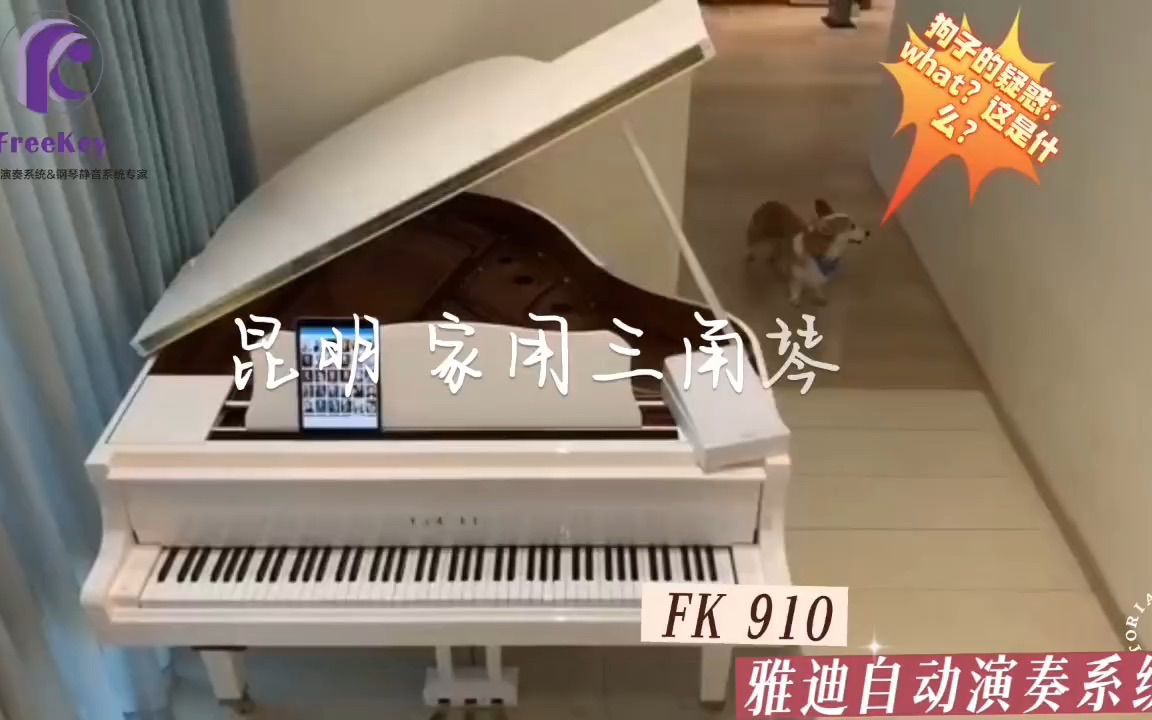 雅马哈钢琴加装钢琴自动演奏系统,在家享受钢琴音乐