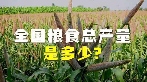 全国粮食总产量是多少