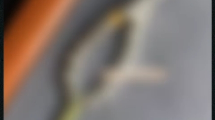 手搓棉线小流苏制作教程