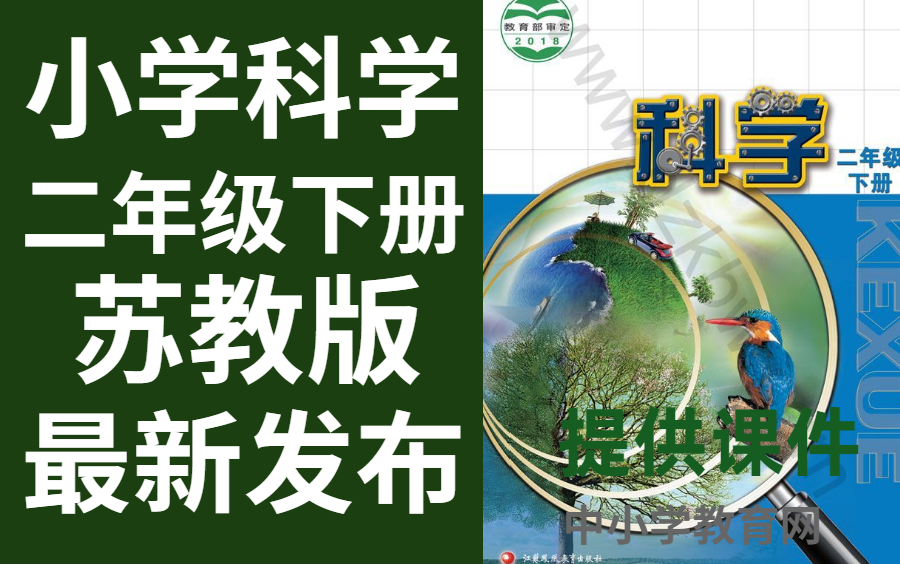 小学科学二年级下册苏教版科学二年级下册科学