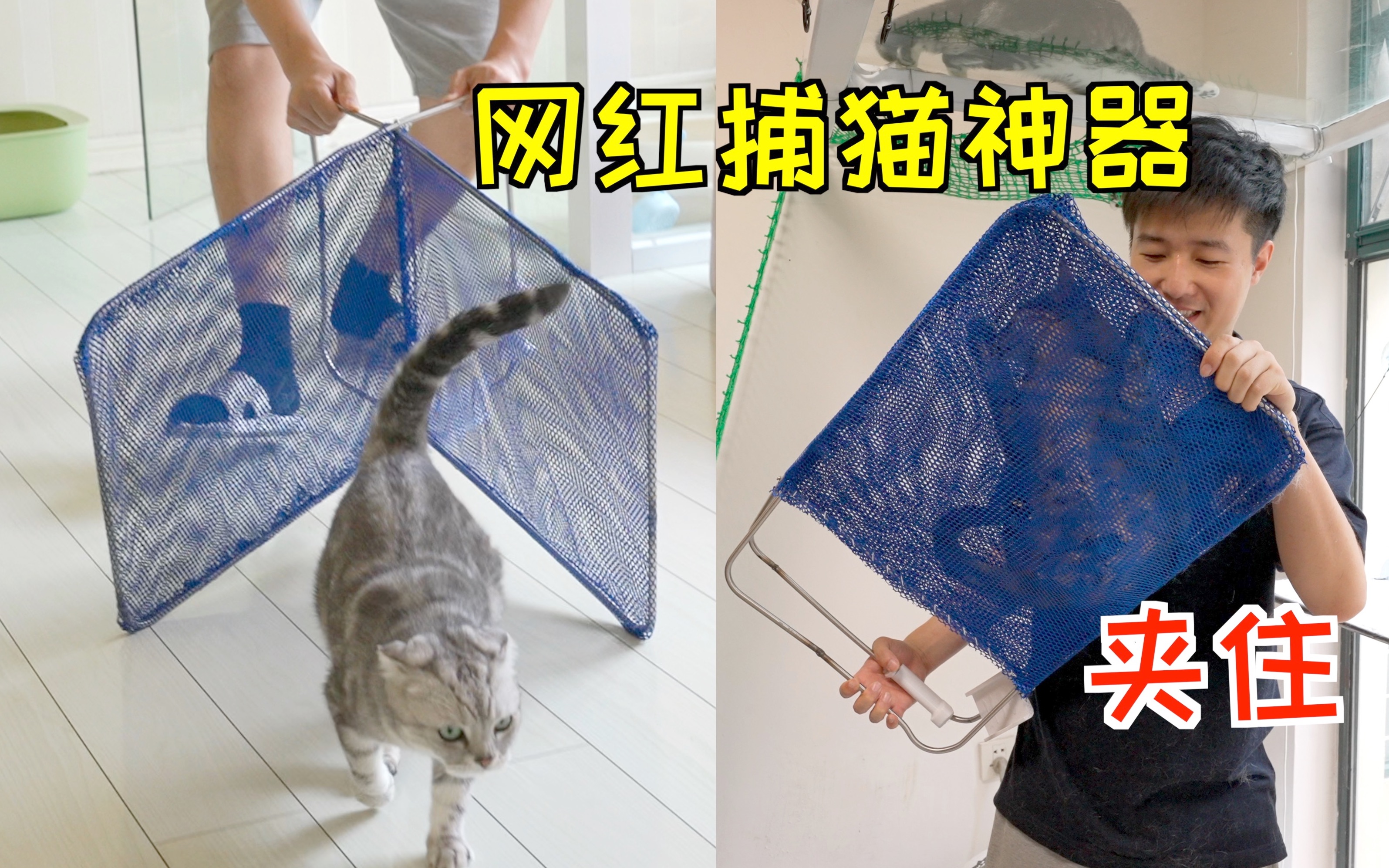 复刻老外的捕猫工具!真能把猫咪夹成烤鸡架?