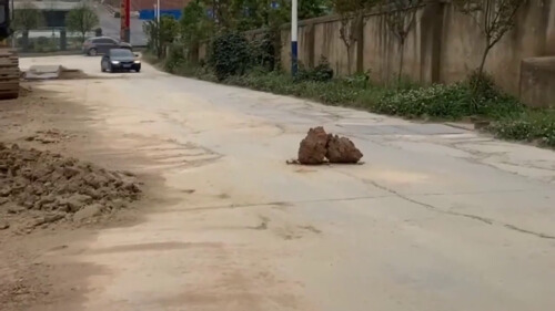 贵州大哥这么大的工程不用招投标吗?