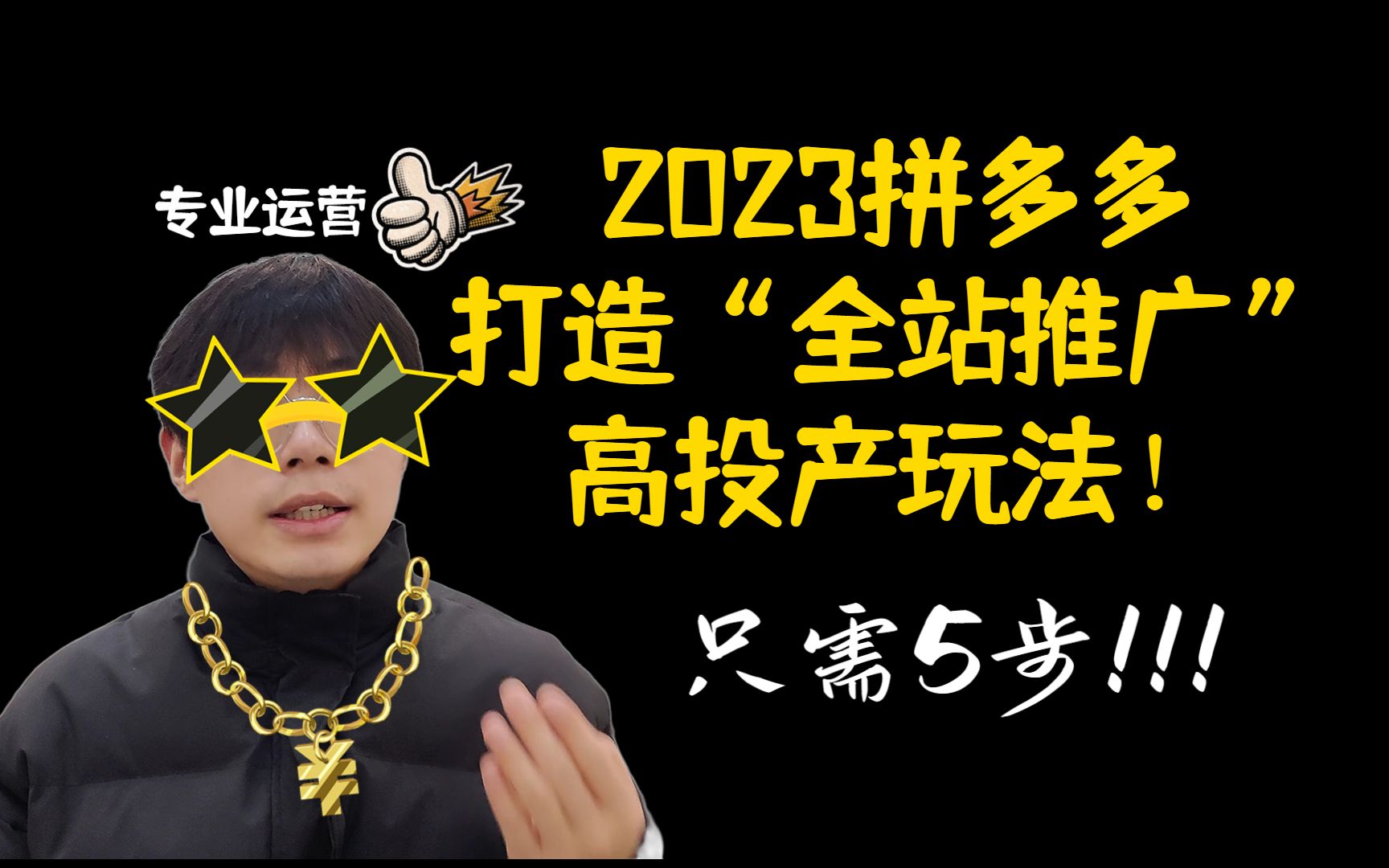 2023拼多多全站推广打造高投产实操教程,从底层逻辑到计划建立全...