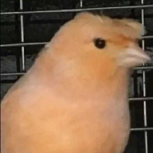生活的杂货铺 