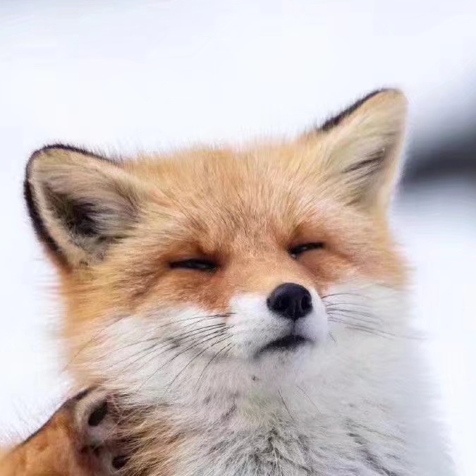 熙贺 