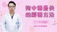 狗中毒最快的解毒方法，大家学会了吗？