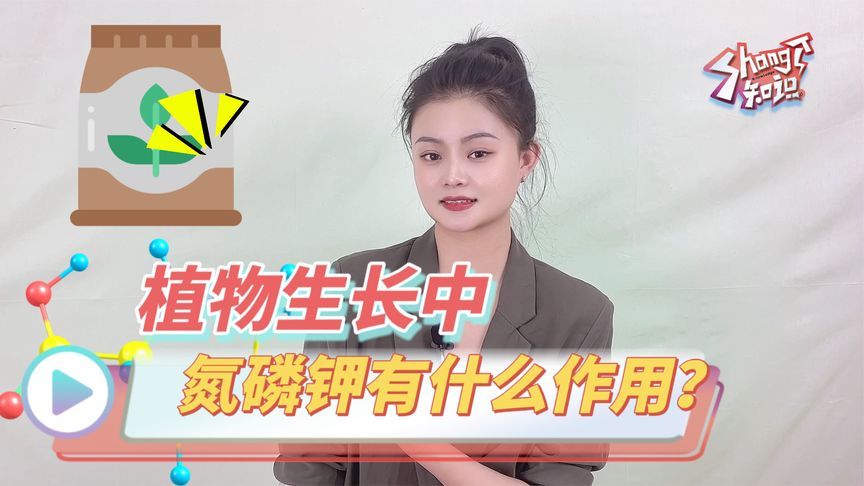 植物生长中氮磷钾有什么作用?
