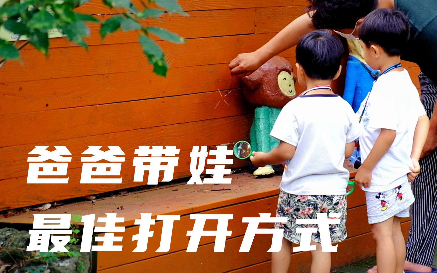 森林教育 | 爸爸带娃的最佳打开方式