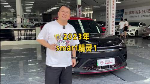 会有人愿意花钱买这台极致个性没什么性价比的小电车吗?