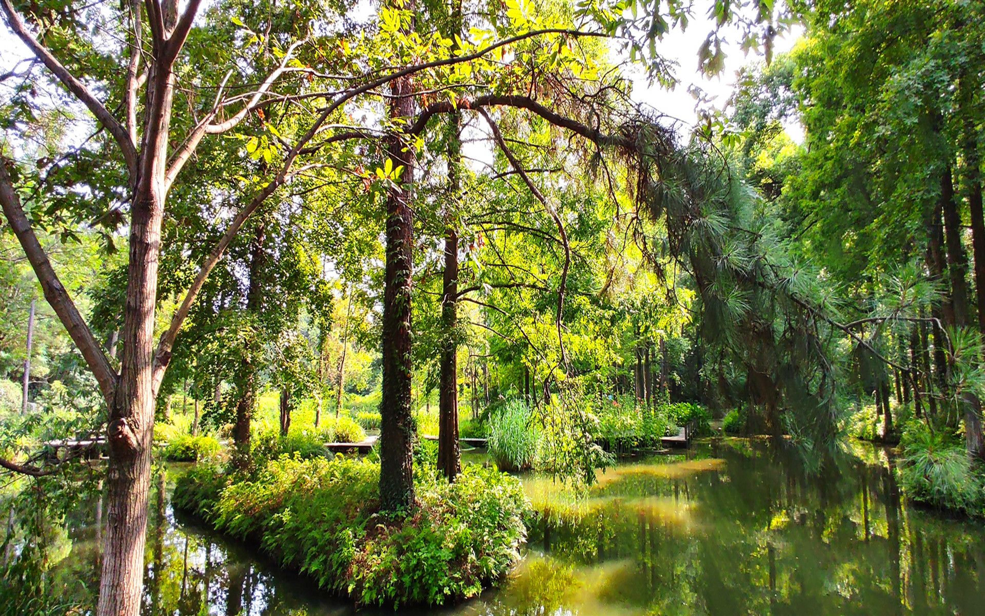 百花争艳,万木争荣的植物王国武汉植物园,山水森林湿地全都有