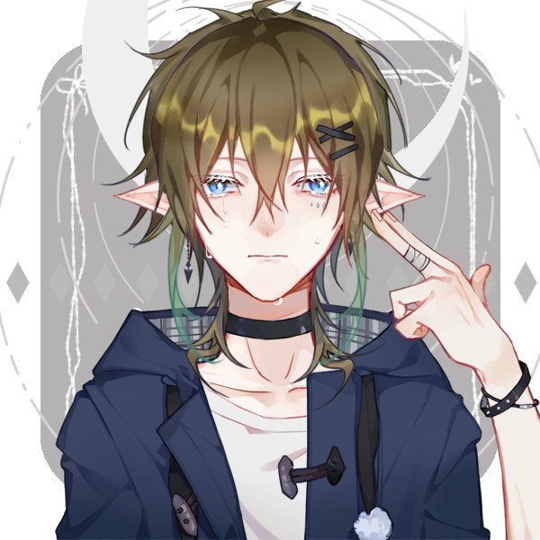 源家狮子王 