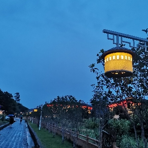 胡大雨1231 