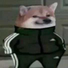 顶级天才绝绝子 