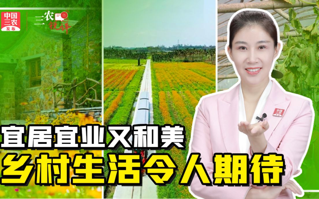 三农锐评丨解读中央农村工作会议之五 宜居宜业又和美 乡村生活令人...