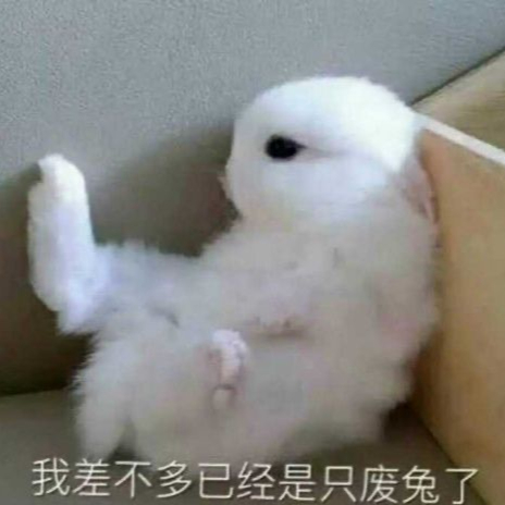 树洞研究所 