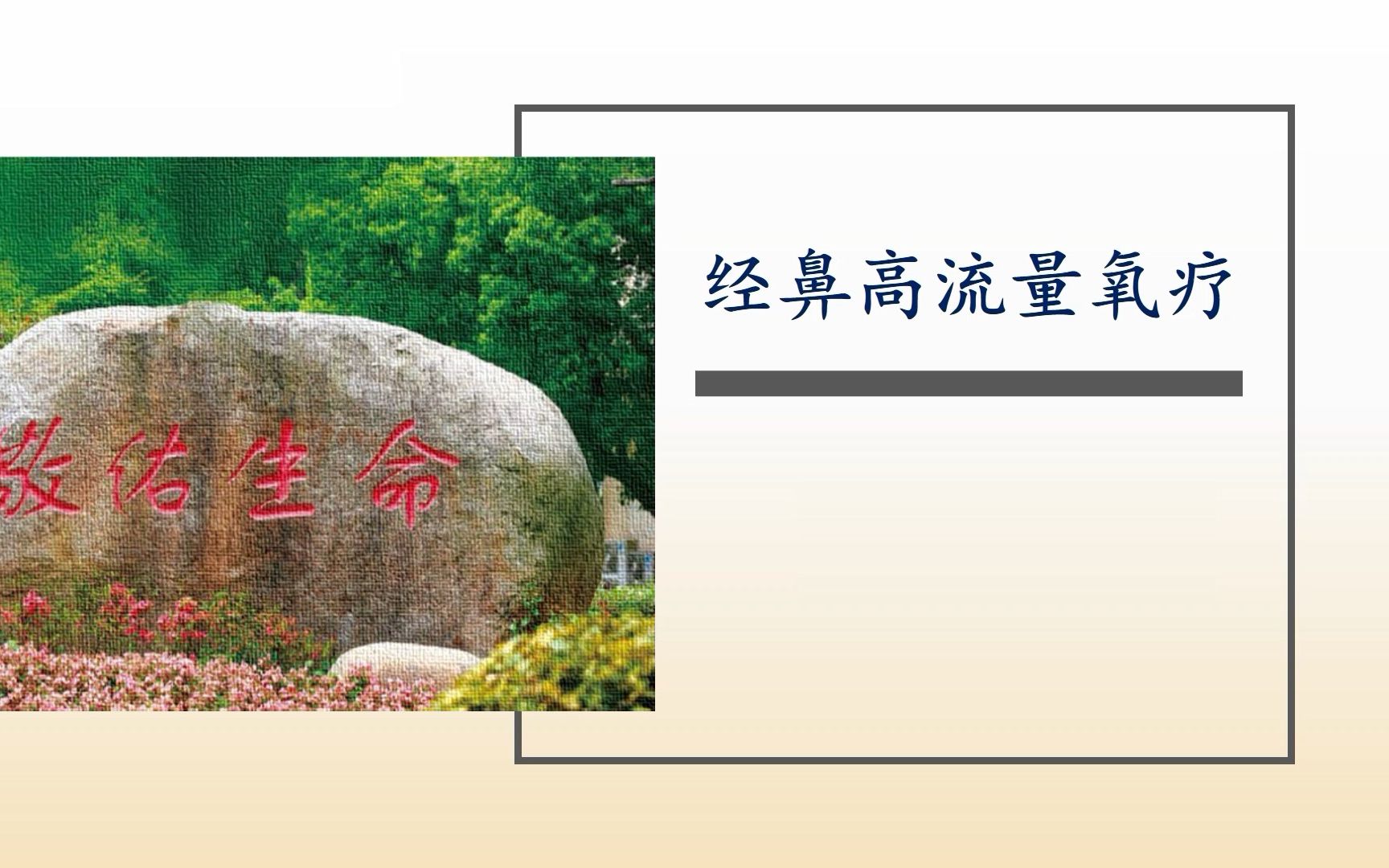 经鼻高流量氧疗1