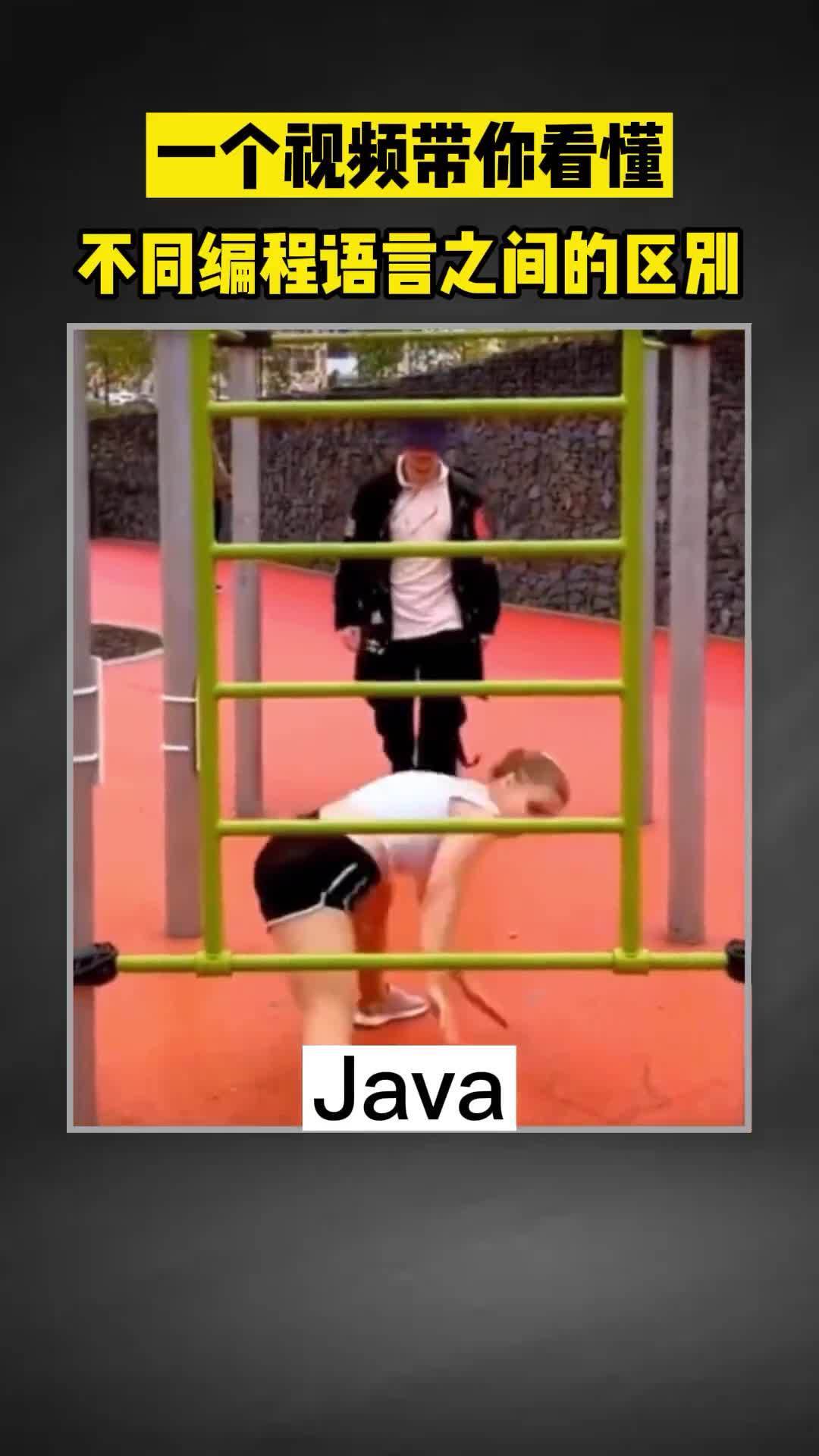 八大编程语言巅峰对决,深度解析各领风骚的较量