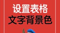 设置表格文字背景色
