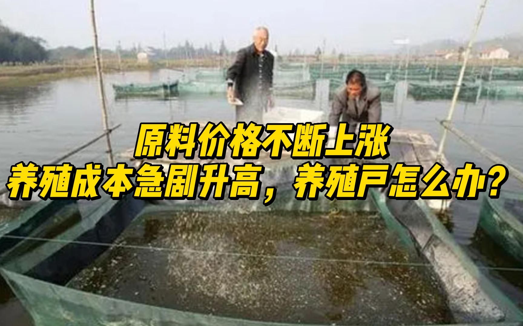 原料价格不断上涨,养殖成本急剧上升,养殖户怎么办?