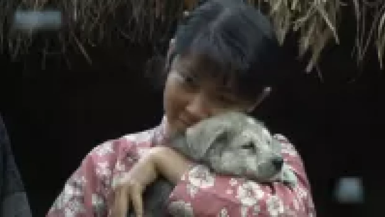狼报恩!男子上山狩猎救了一只小狼崽回来,最终救了自己的孩子!