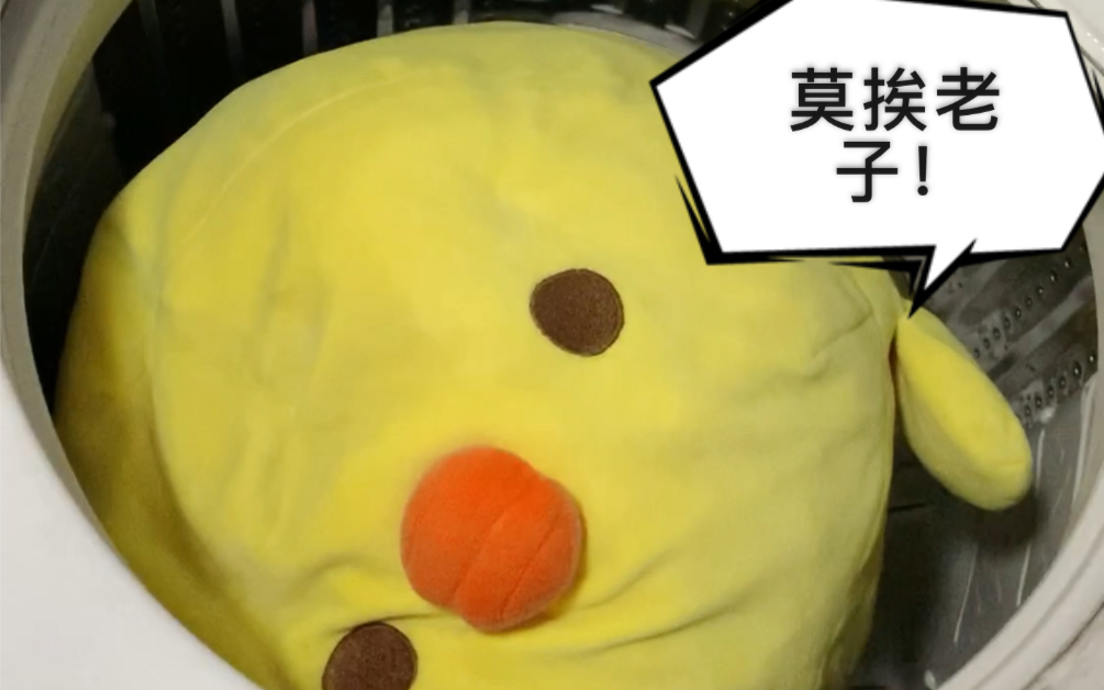 闲来无事,洗只“鸡”吧--震惊,毛绒抱枕也可以机洗!