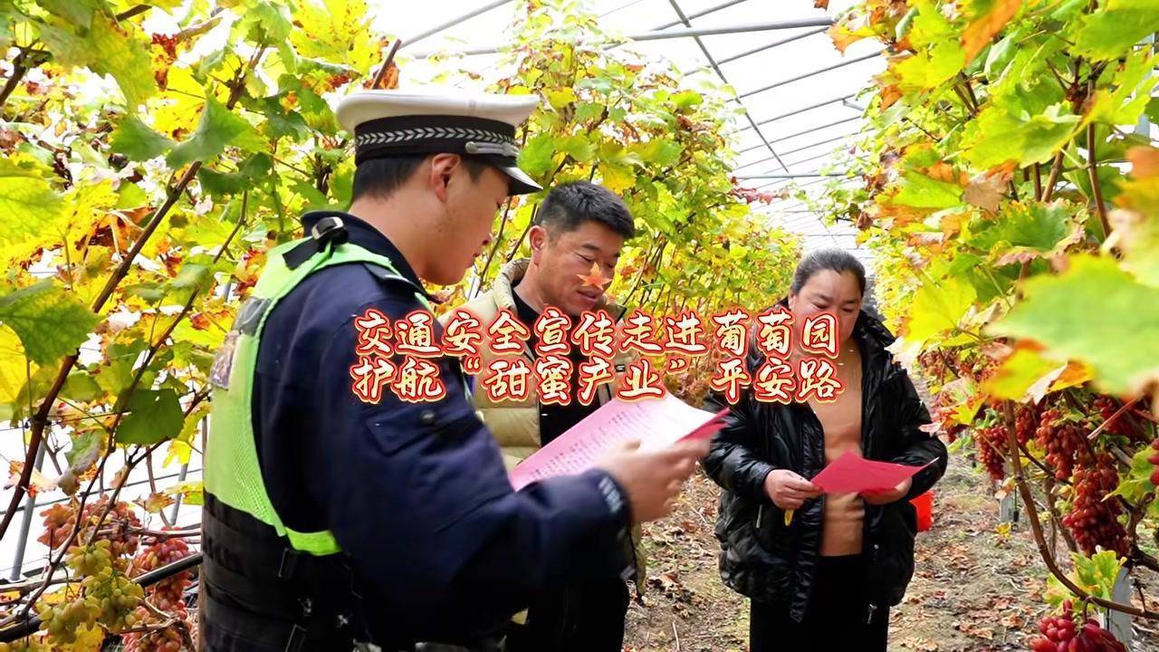 交通安全宣传走进葡萄园护航"甜蜜产业"平安路(视频:朱斌)#安全宣传