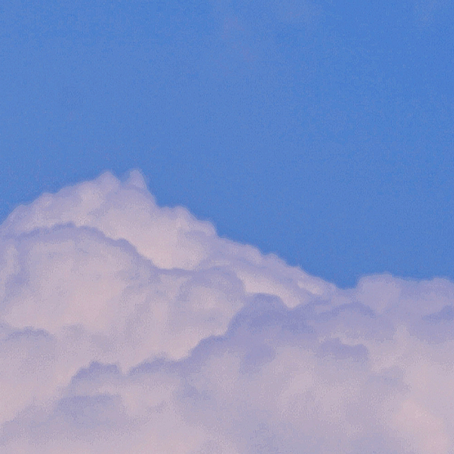 荔莆 