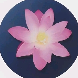 淼晨阿然X 