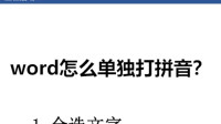 word怎么单独打拼音