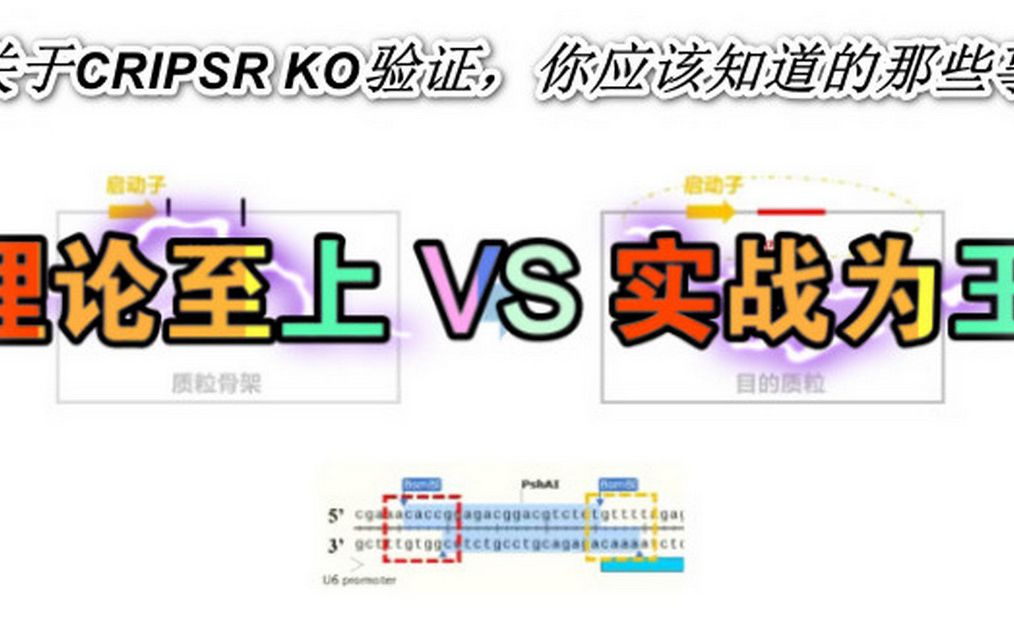 关于CRISPR KO克隆验证,那些没人告诉你的实验细节:chatGPT也需要...