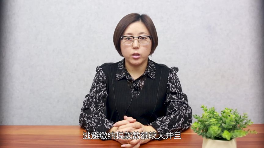 合理避税和偷税漏税区别是什么