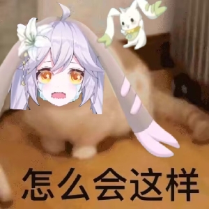 萱萱的小迷弟丫 