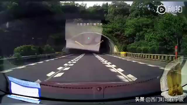 ... 车主回看记录仪后惊出一身冷汗】6月16日,男子驾车行驶在浙江宁波...