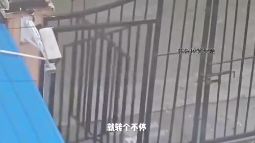 旋转门被大风"封印",众人被困门外急得直跳脚!