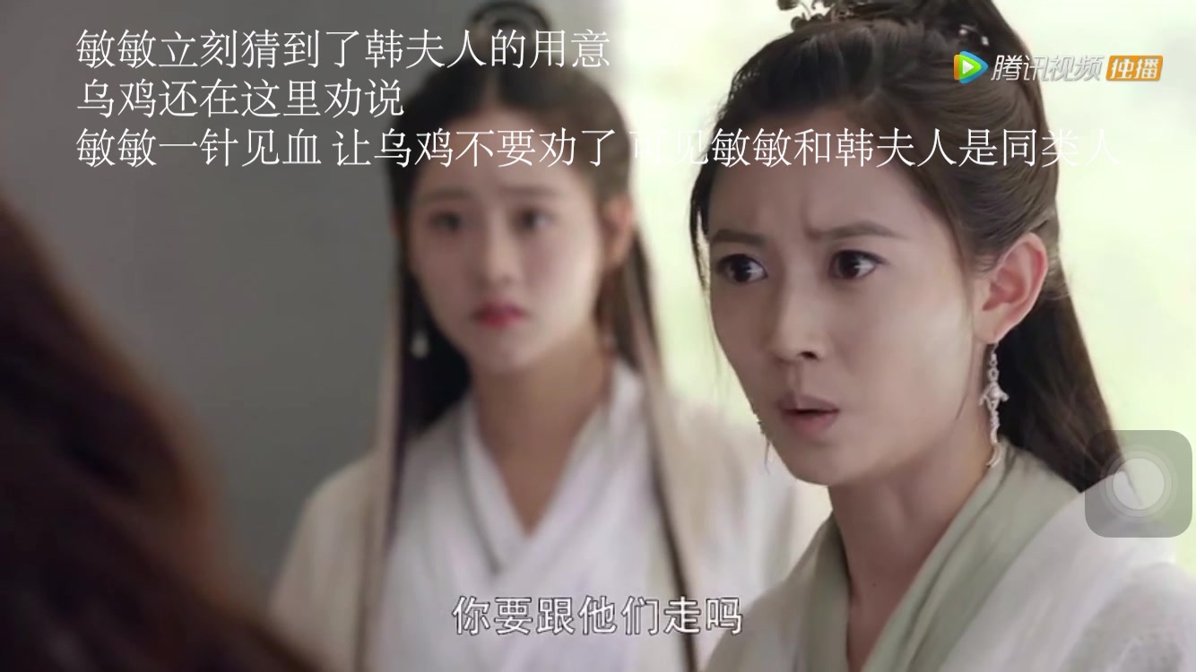 显微镜看张无忌如何爱上赵敏13-3