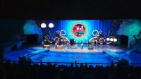 上海海昌海狮馆表演