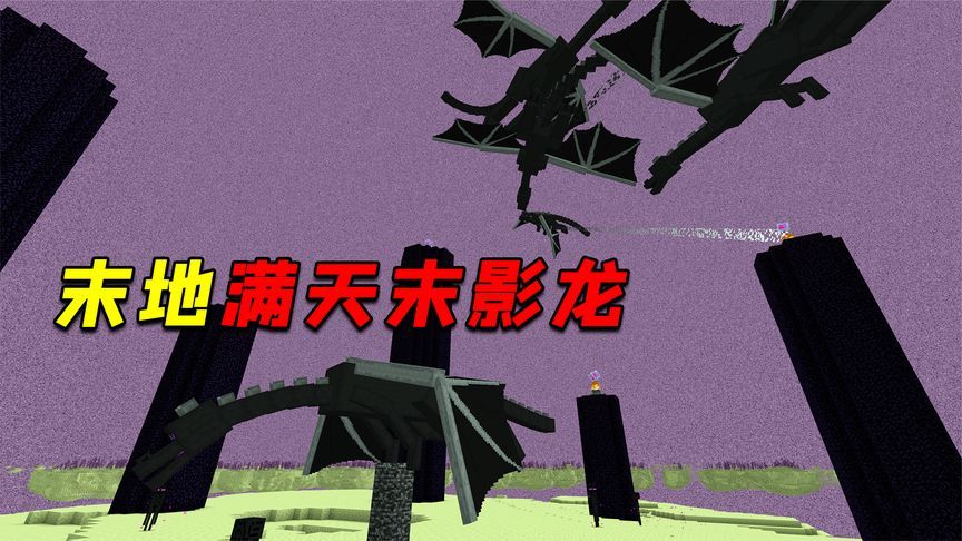 我的世界:不用模组,也可以在末地召唤10只.