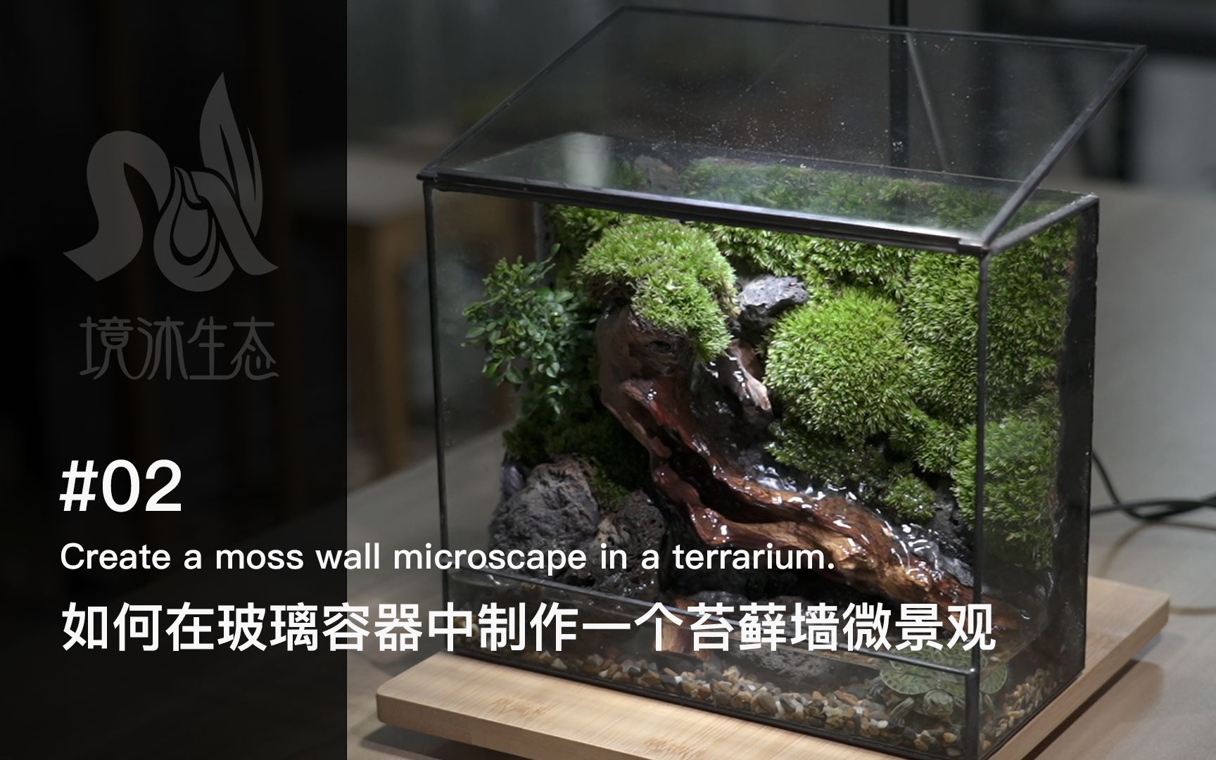 如何在玻璃容器中制作苔藓璧微景观 制作教程 微景观制作全过程