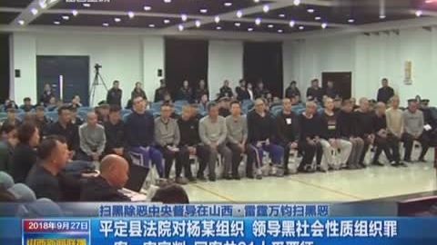 平定县法院对杨某组织 领导黑社会性质组织罪一案一审宣判