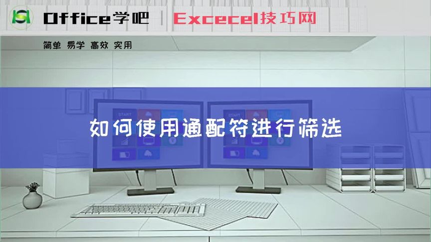 Excel数据筛选应用——如何使用通配符进行筛选