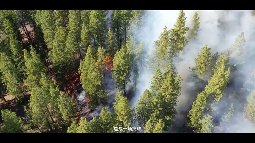 森林防火宣传片《火灾无情,预防先行》