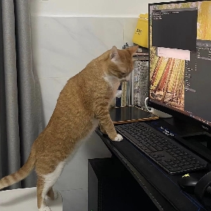 太阳和月亮牵手 