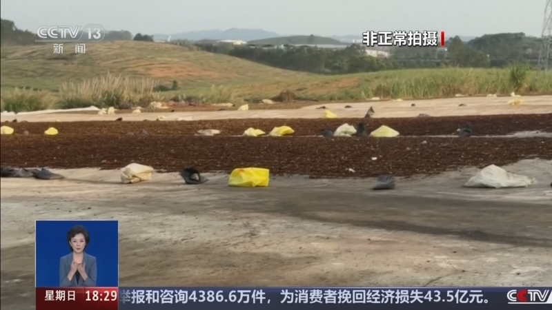 [共同关注]关注·调查:"3·15"特别策划 "超硫八角"随意售卖 "剂量红线"...