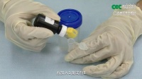 17 二氧化硫检测实验