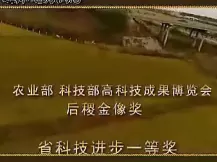 安徽省 涡阳县招商宣传片 天下道源 魅力涡阳欢迎您