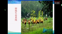 生物圈是最大的生态系统--微课