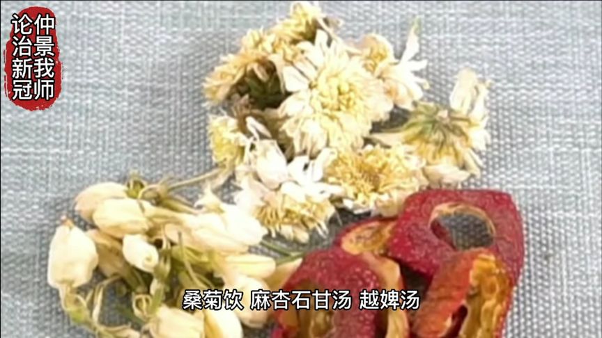 风热篇——新冠病毒感染所有类型的辨证论治,看完就知道吃啥药