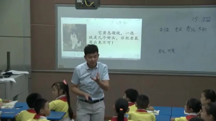 部编版小学语文优质课 猫 教学实录(四下)