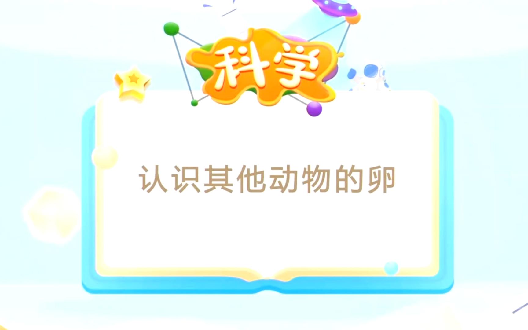 科学展示课 认识其他动物的卵